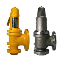 Broady Safety Valves - Virago Valves